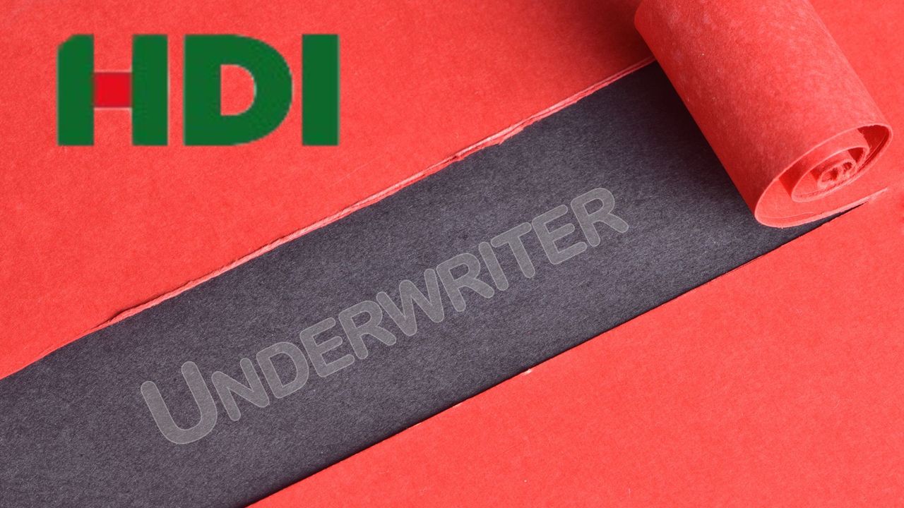 HDI Global Insurance unveils new CUO | Captive International